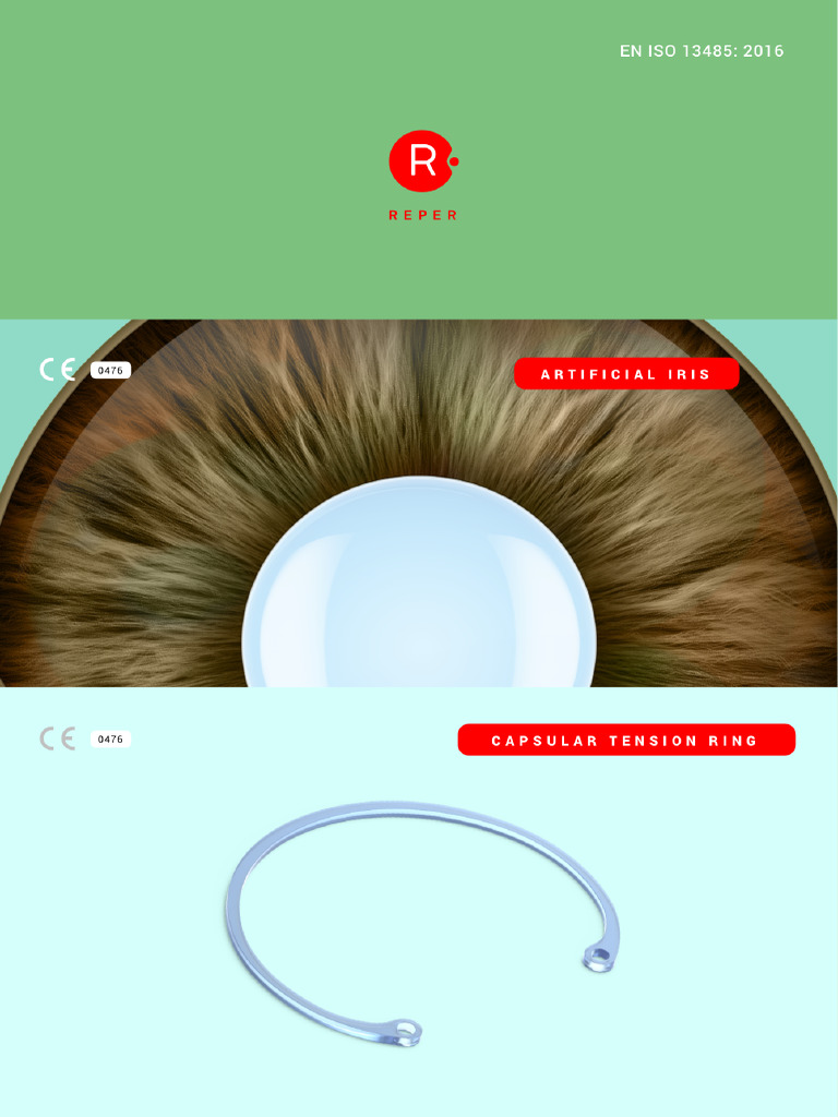 Reper | PDF