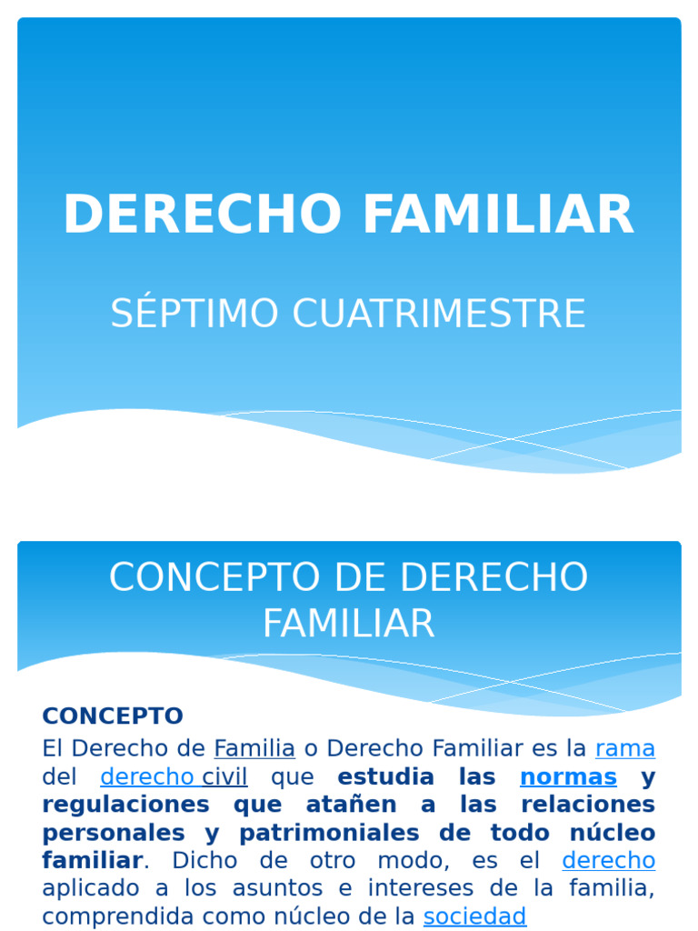 Conceptos Clave del Derecho Familiar | PDF | Parentesco | Divorcio
