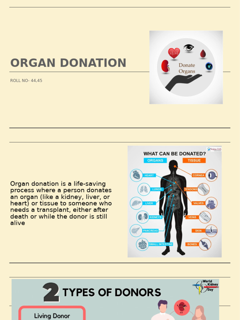 Types of Organ Donation Explained | PDF | Organ Donation | Organ ...