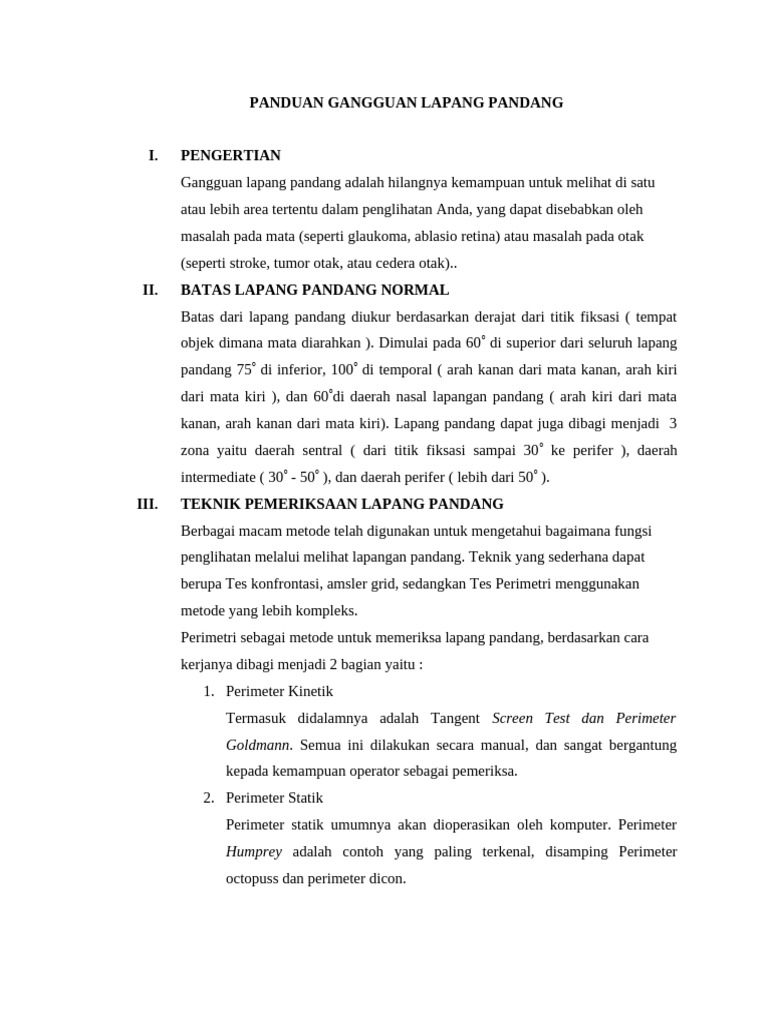 Panduan Lapang Pandang | PDF