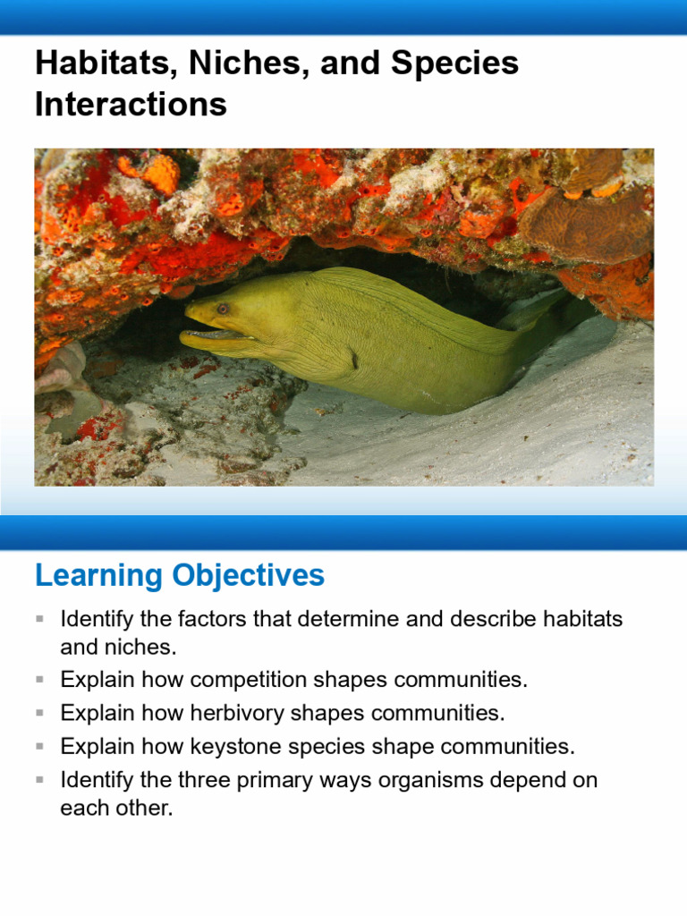 BIO CH06 L01 Editable Presentation | PDF