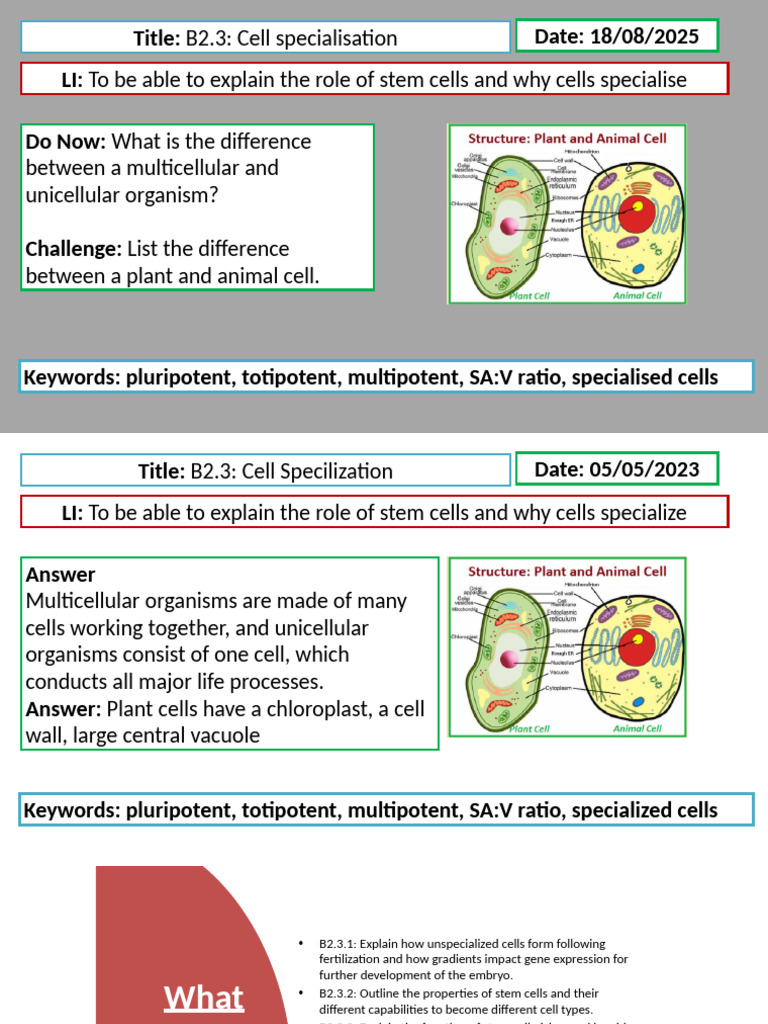 B2.3 - Cell Specilisation | PDF | Hematopoietic Stem Cell | Cell Potency