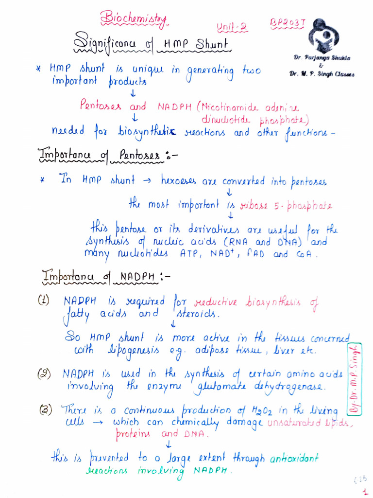 Significance of HMP Shunt in Metabolism | PDF | Phosphorus | Biomolecules