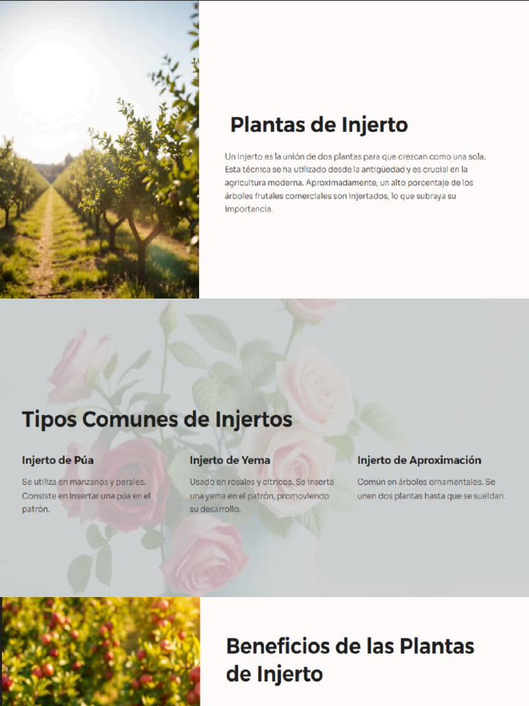 Injertos | PDF