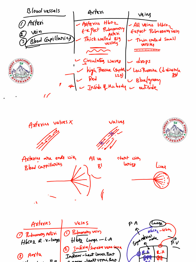 Biology Class Notes-9 | PDF