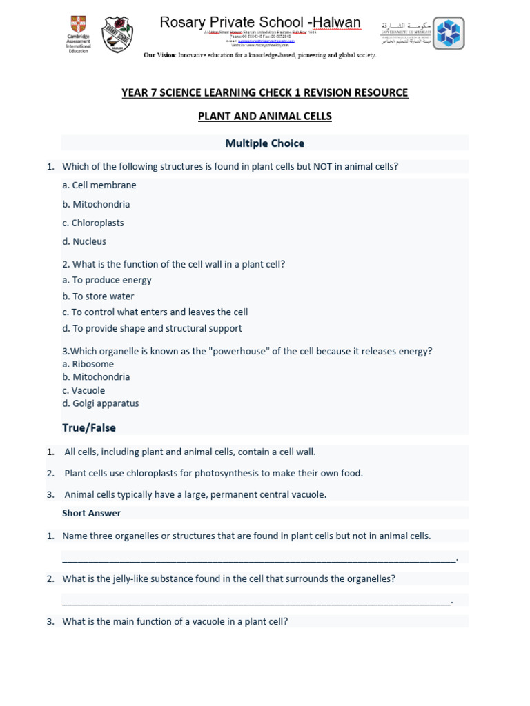 Year 7 - Science Learning Check 1 - Revision | PDF | Cell (Biology ...