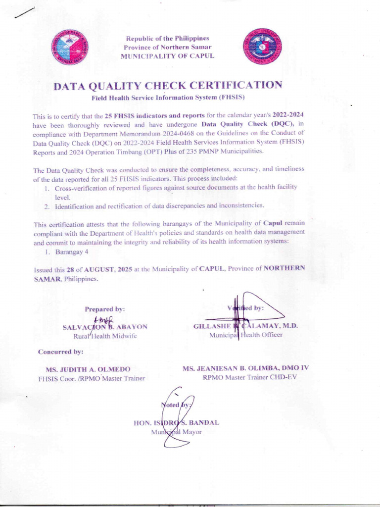 Municipal DQC - Brgy. 4 | PDF