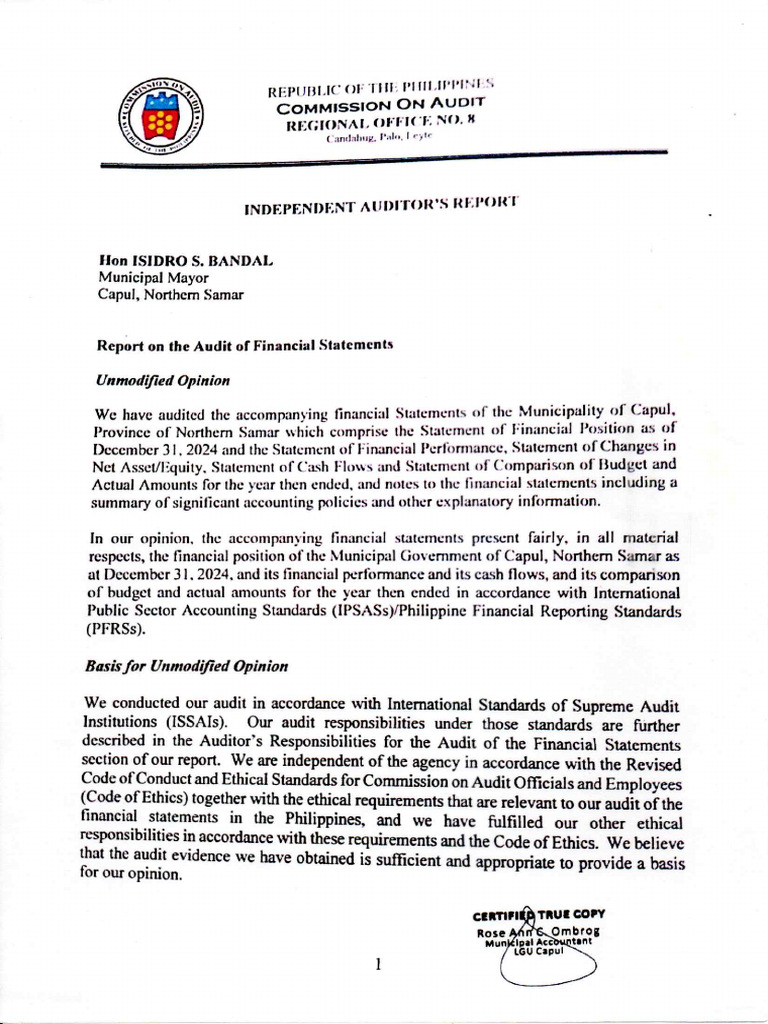 Municipal Financial Statement | PDF