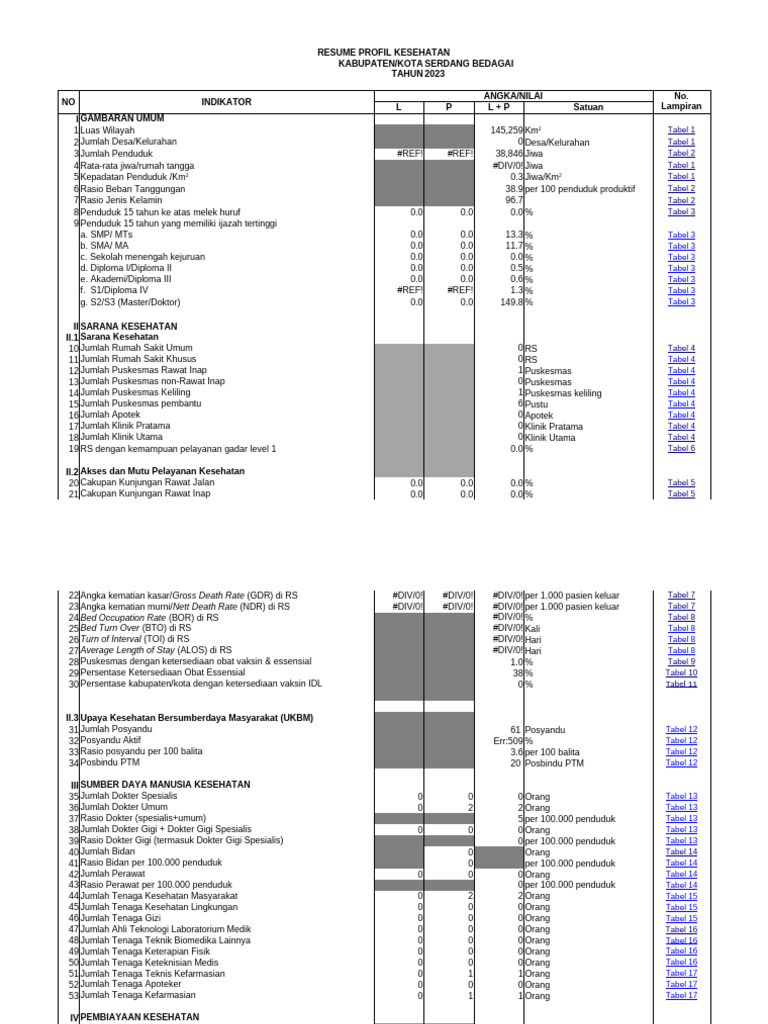 Lampiran Juknis Profil Kes 2024 | PDF