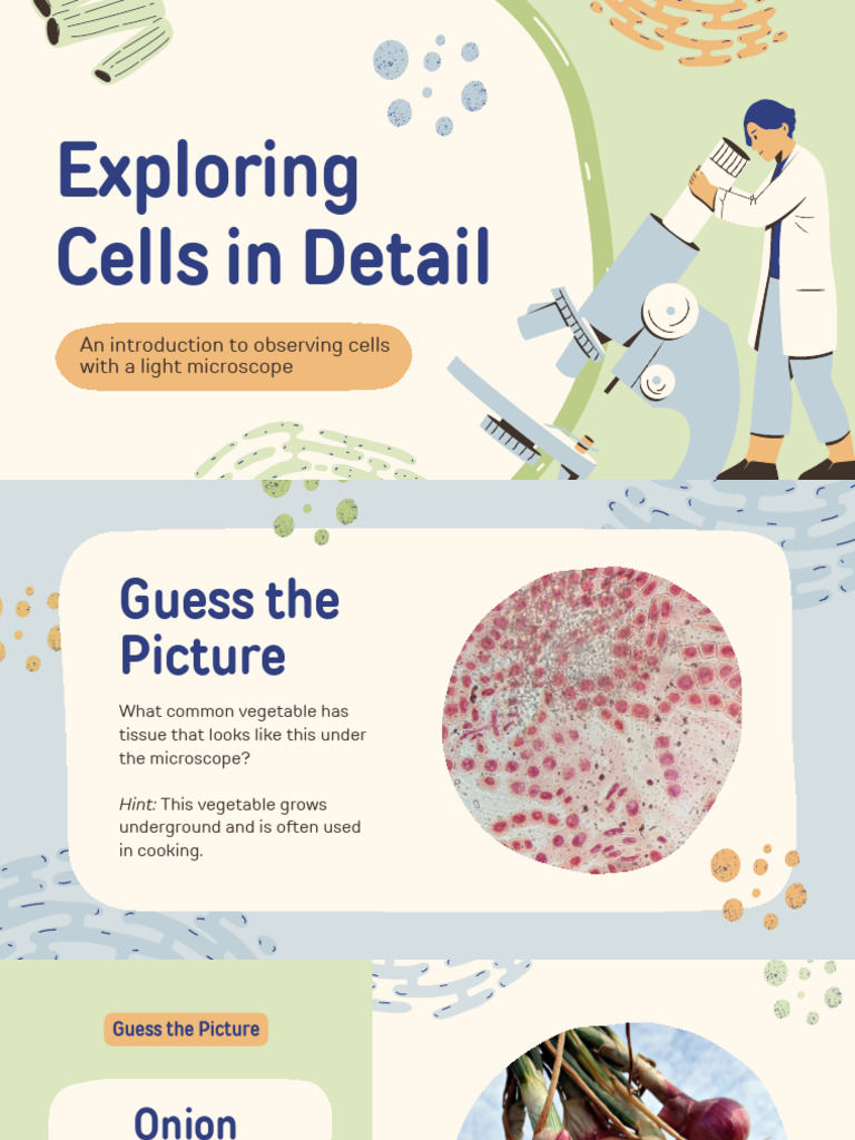 Exploring Cells in Detail Education Presentation in 0 Hand Drawn ...