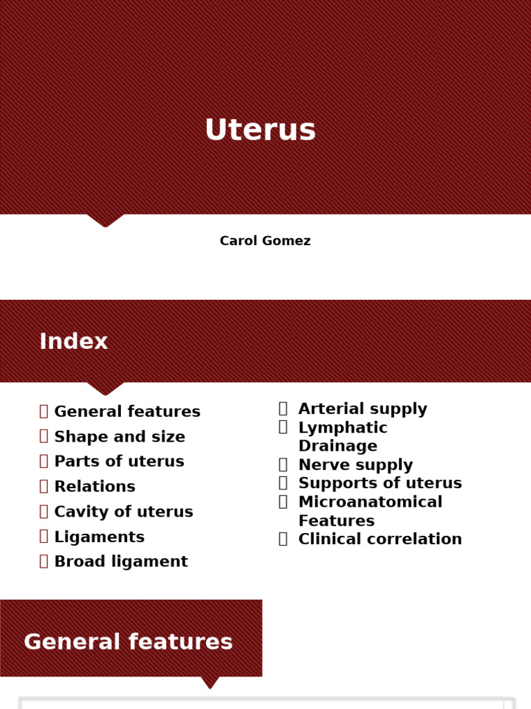 Anatomy and Functions of the Uterus | PDF | Uterus | Vagina