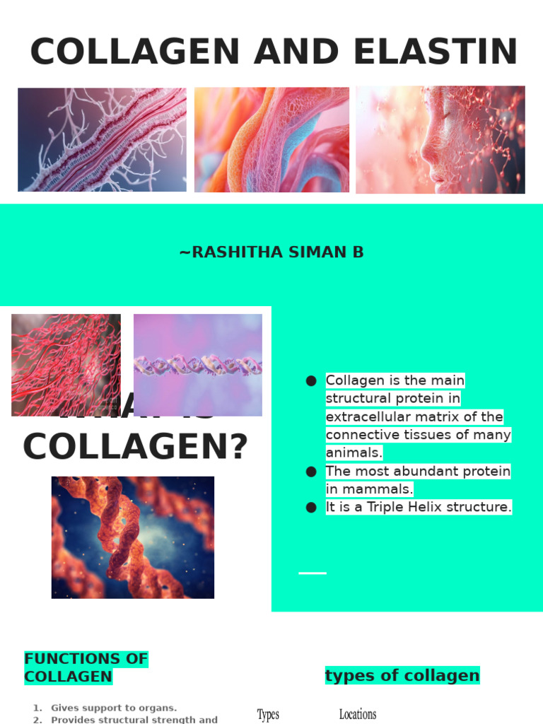 Collagen and Elastin | PDF