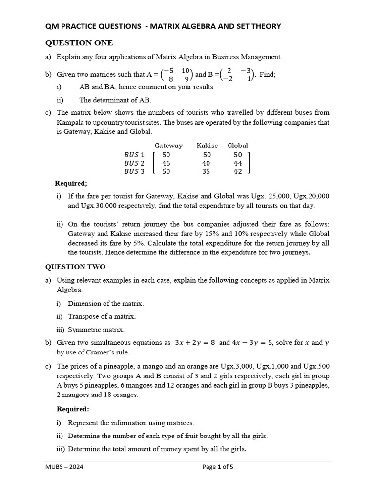 Matrix Algebra & Set Theory Practice Questions | PDF | Matrix ...
