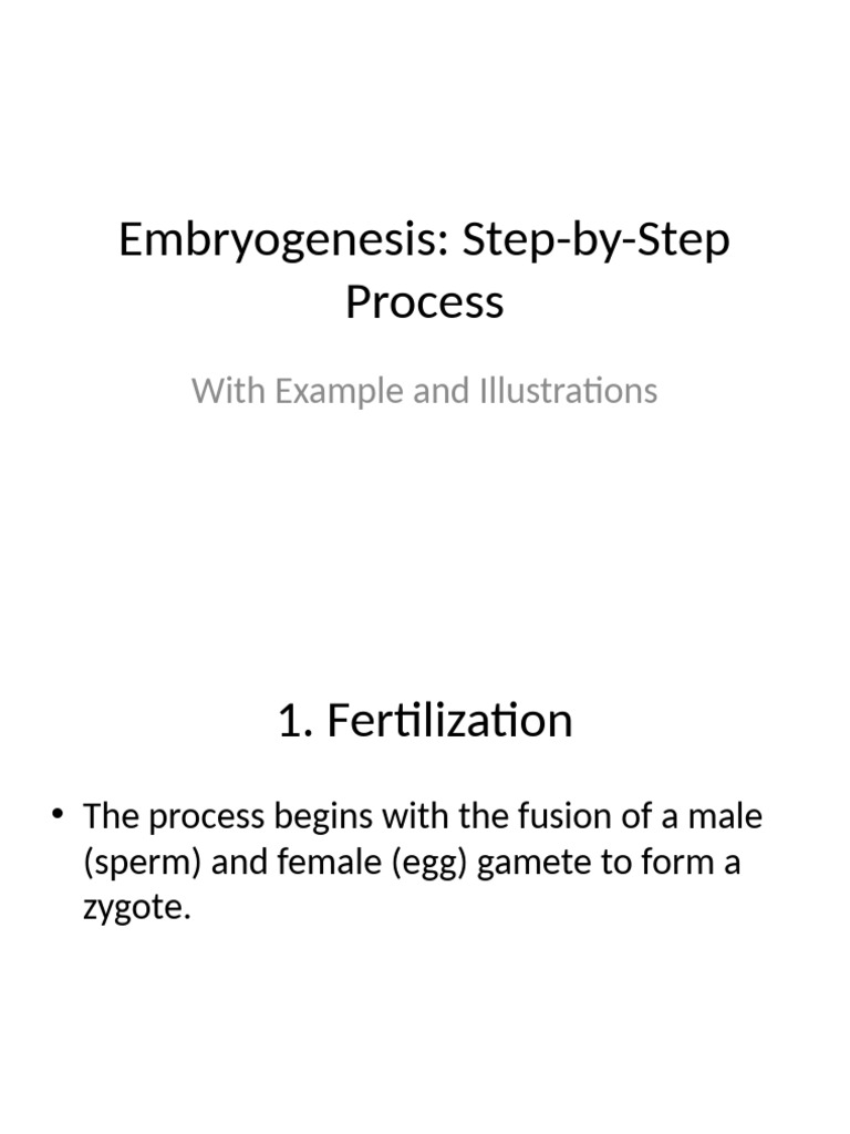 Embryogenesis Steps | PDF