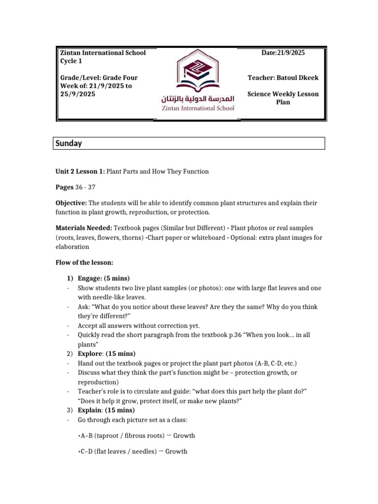 Grade 4 Science Weekly Lesson Plan | PDF | Plants | Leaf