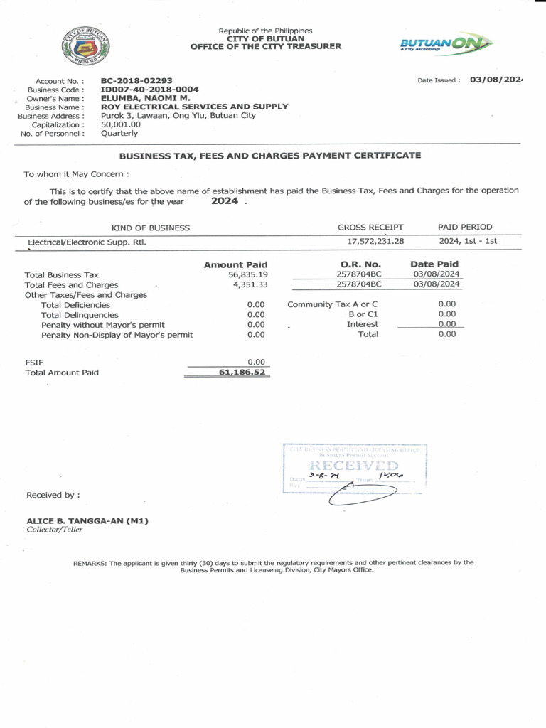 Business Tax, Fees and Charges Payment Certificate 2024 | PDF