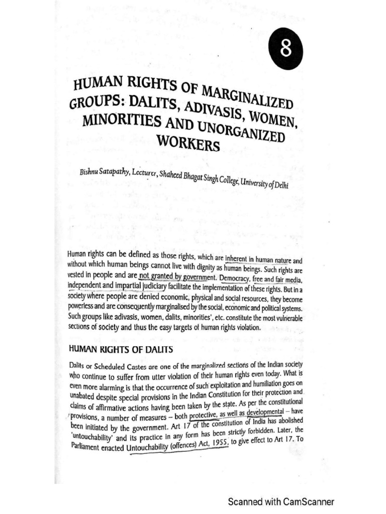 Human Rights of Marginalized Groups | PDF