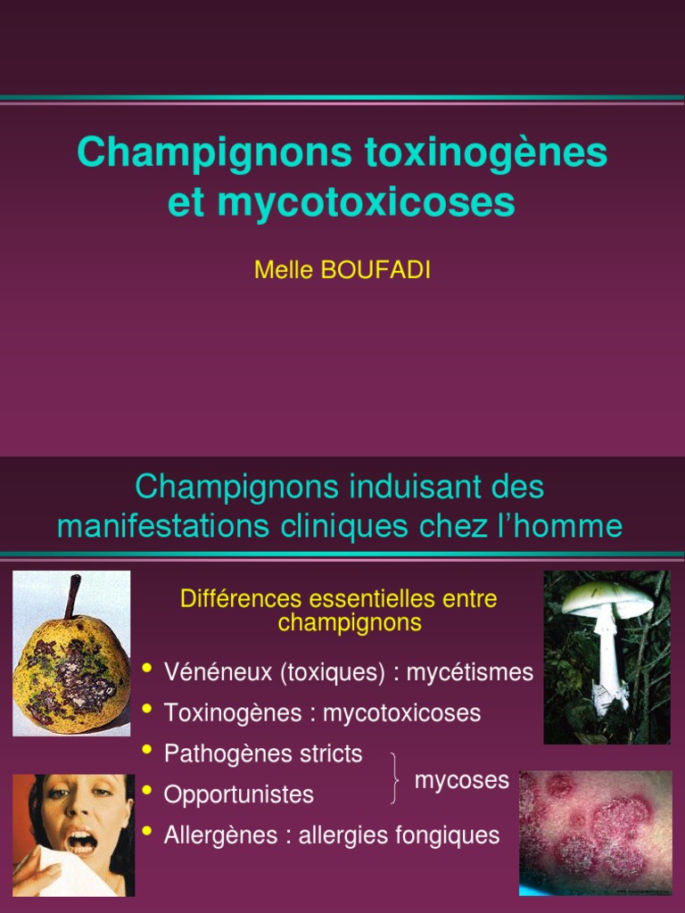 Champignons Genes Et Mycotoxicoses 2005-2006 | PDF | Mycotoxine ...