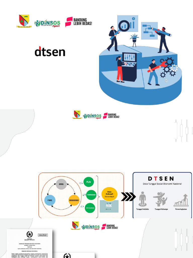 DTSEN: Data Sosial Ekonomi Nasional | PDF