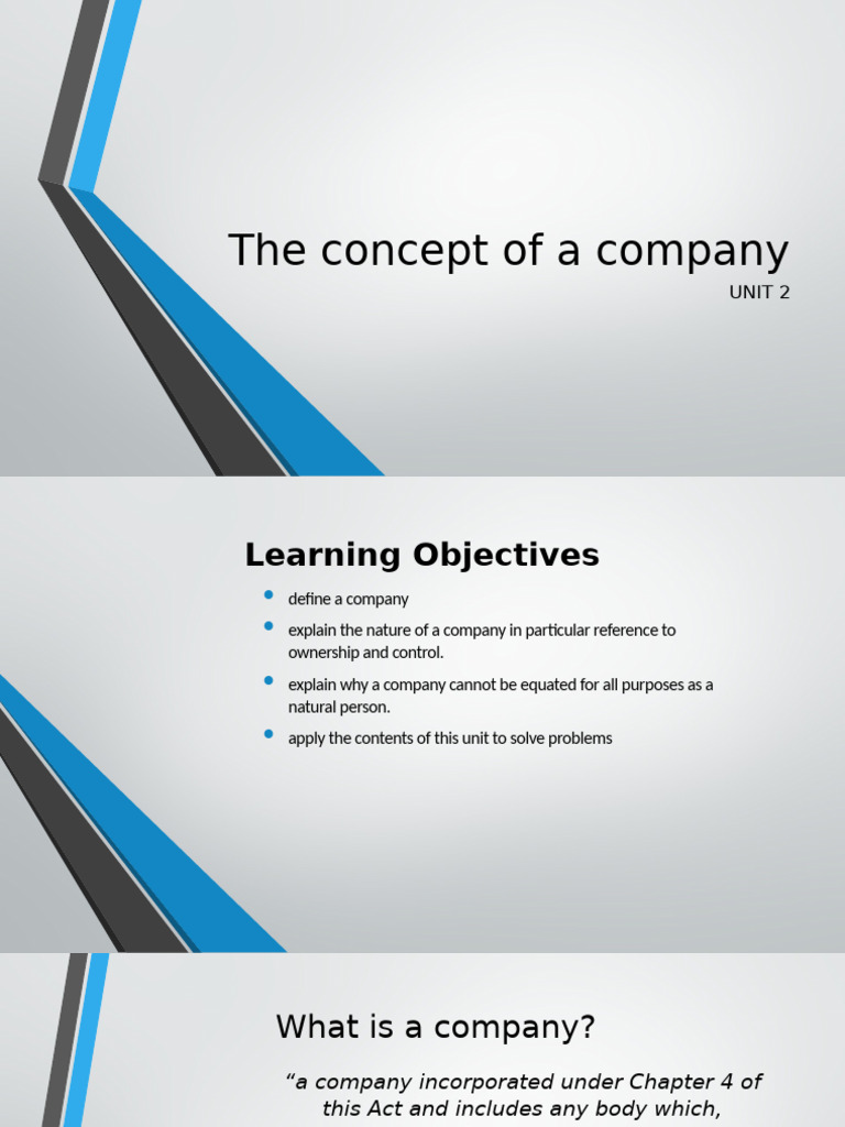 Unit 2. The Concept of A Company | PDF
