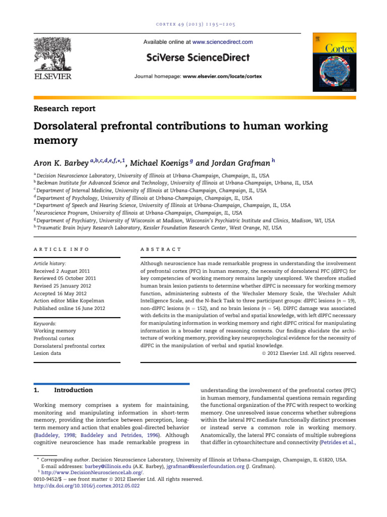DLPFC and Working Memory | PDF | Wechsler Adult Intelligence Scale | Dorsolateral Prefrontal Cortex