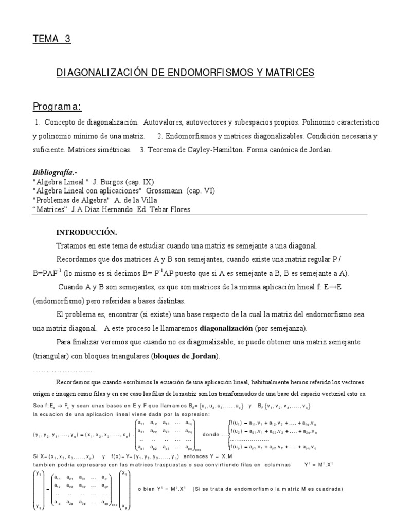 Tema3 Diagonalizacion | PDF | Valores propios y vectores propios | Matriz (Matemáticas)
