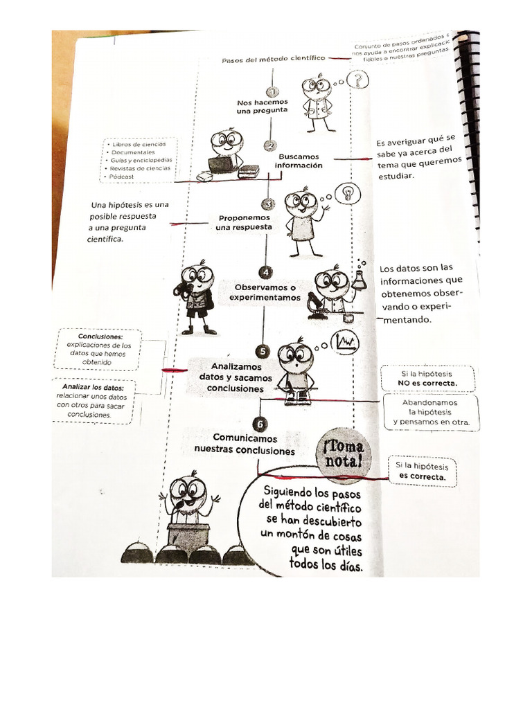 CONO - Esquema Tema 1 | PDF