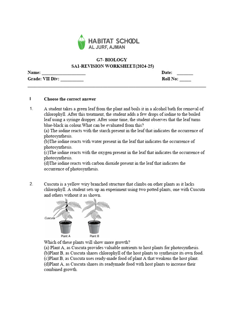 G7 Biology SA1 Revision Worksheet | PDF | Photosynthesis | Foods