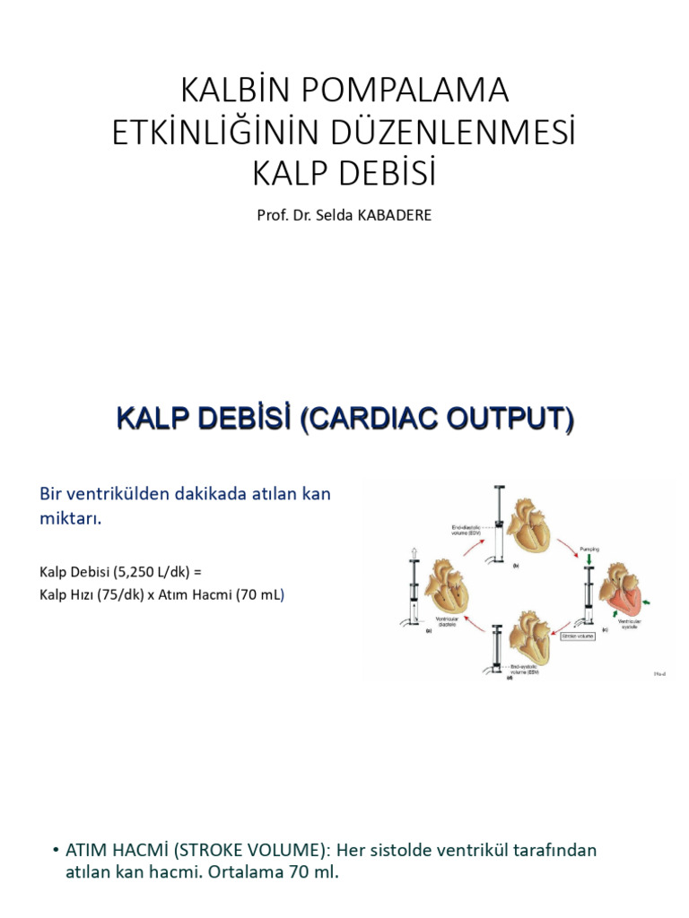 6.kalp Debisi | PDF