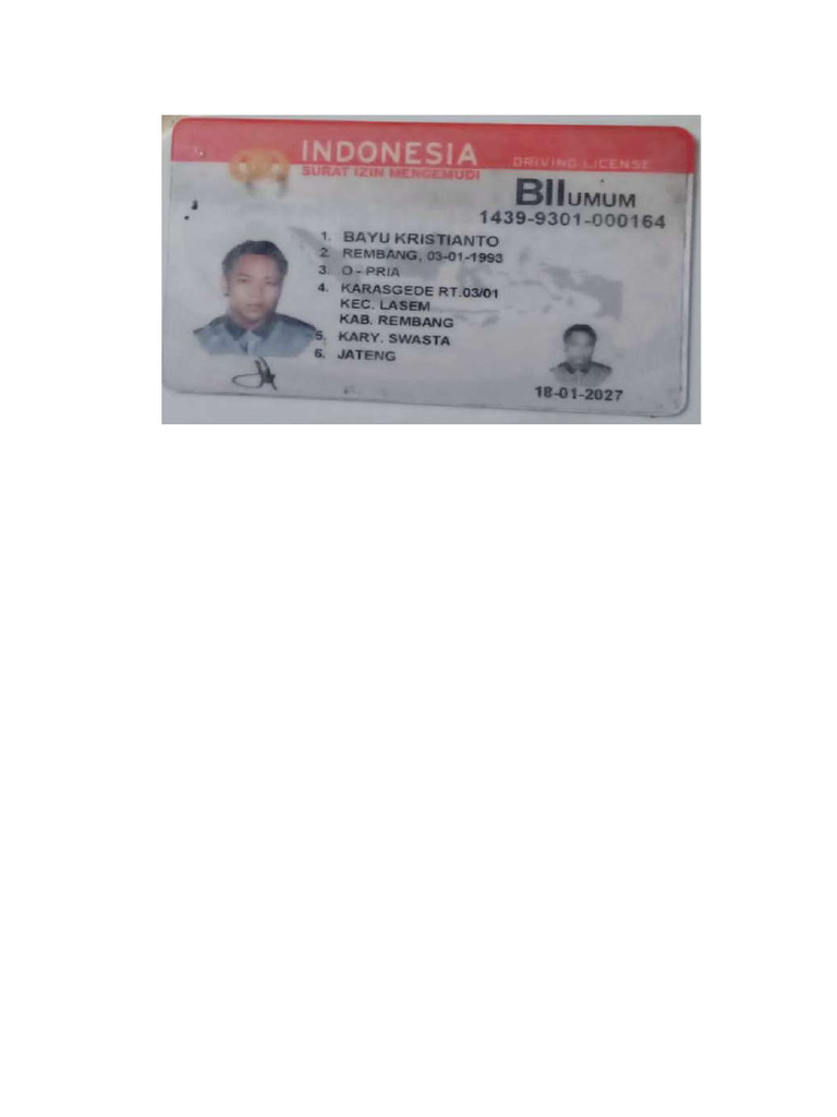 Bayu K | PDF