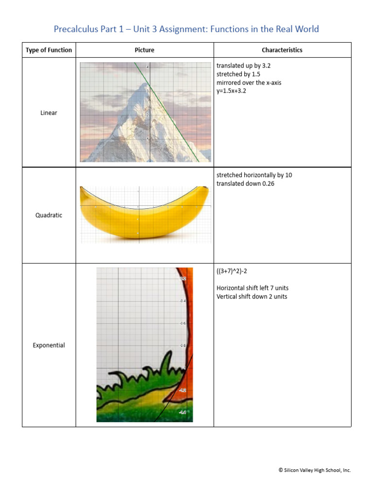 Functions in Real-World Applications | PDF