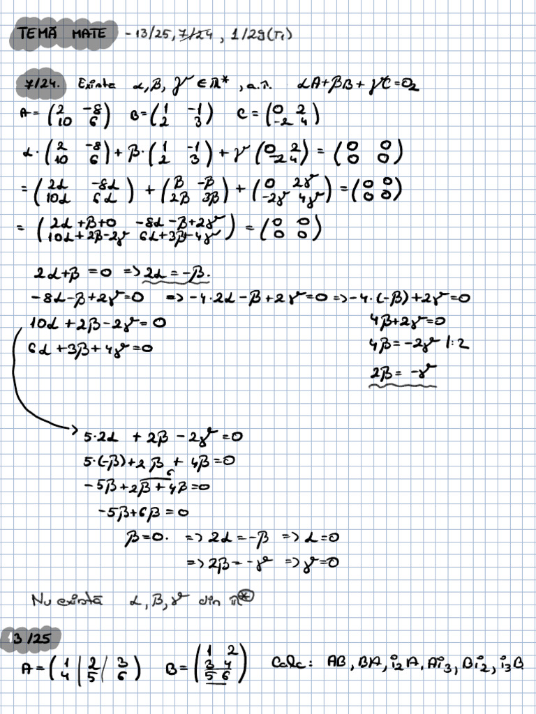 MATE: Verificare și Calculi Matematici | PDF