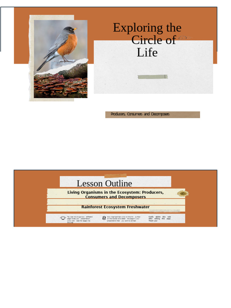 Ecosystem Roles: Producers, Consumers, Decomposers | PDF | Foods ...
