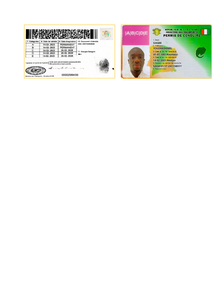 Permi PDF | PDF