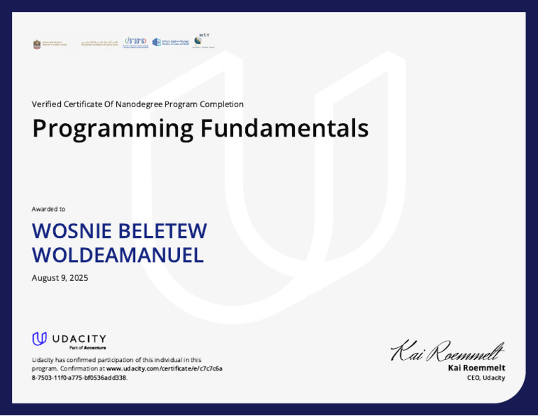 Programming Fundamentals: Wosnie Beletew Woldeamanuel | PDF
