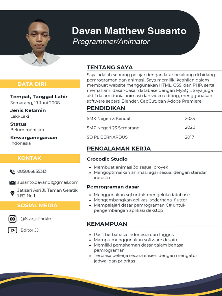 Davan Matthew Susanto: Programmer/Animator | PDF