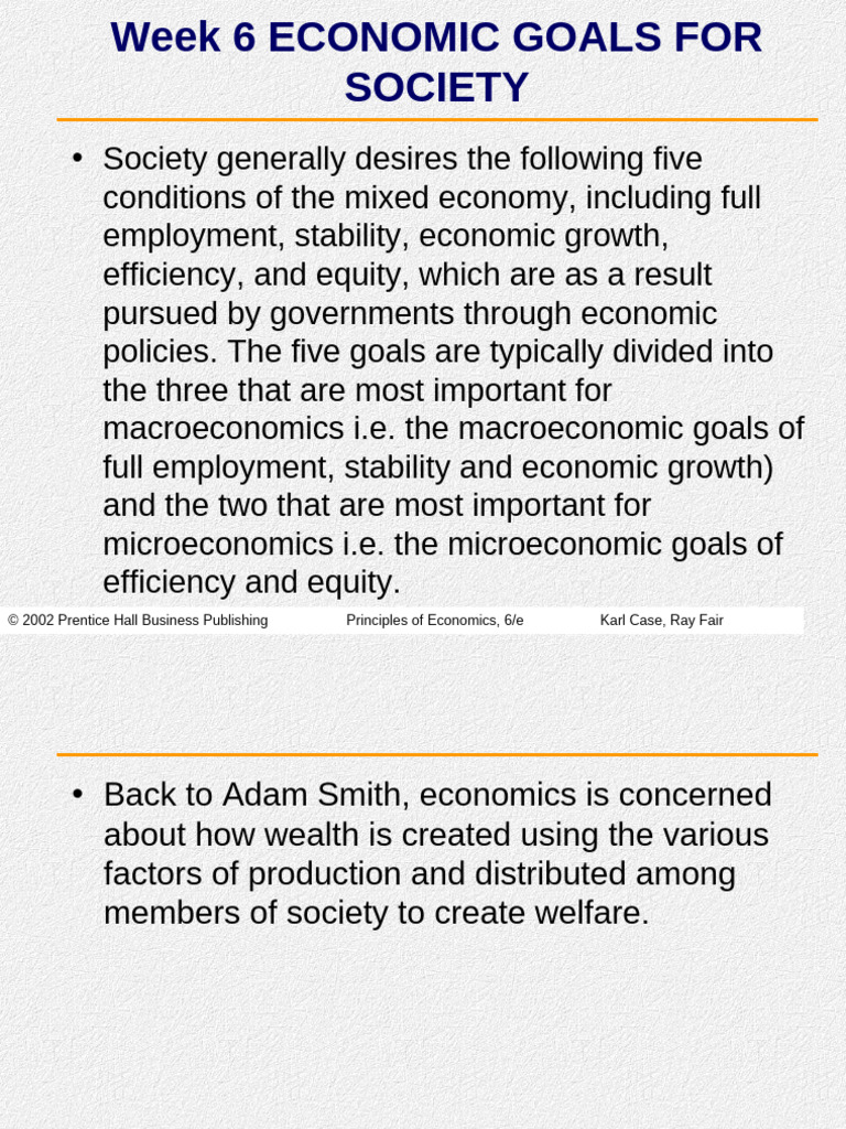 Economic Goals: Employment, Growth, Equity | PDF | Economics | Equity ...
