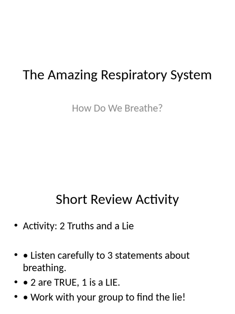 Respiratory System Lesson | PDF | Respiratory Tract | Respiratory System