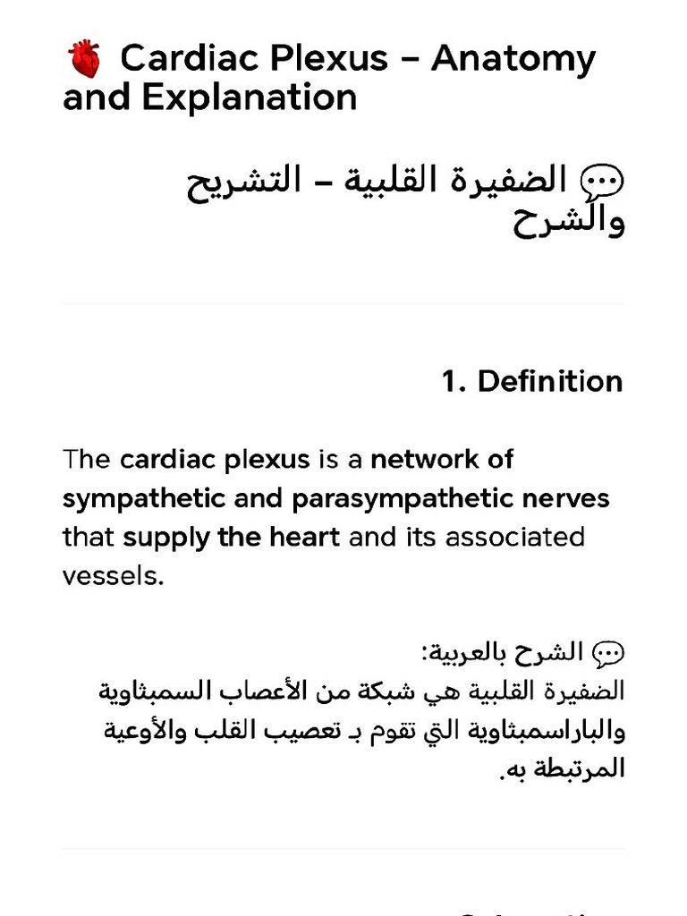 Cardic Plexus | PDF