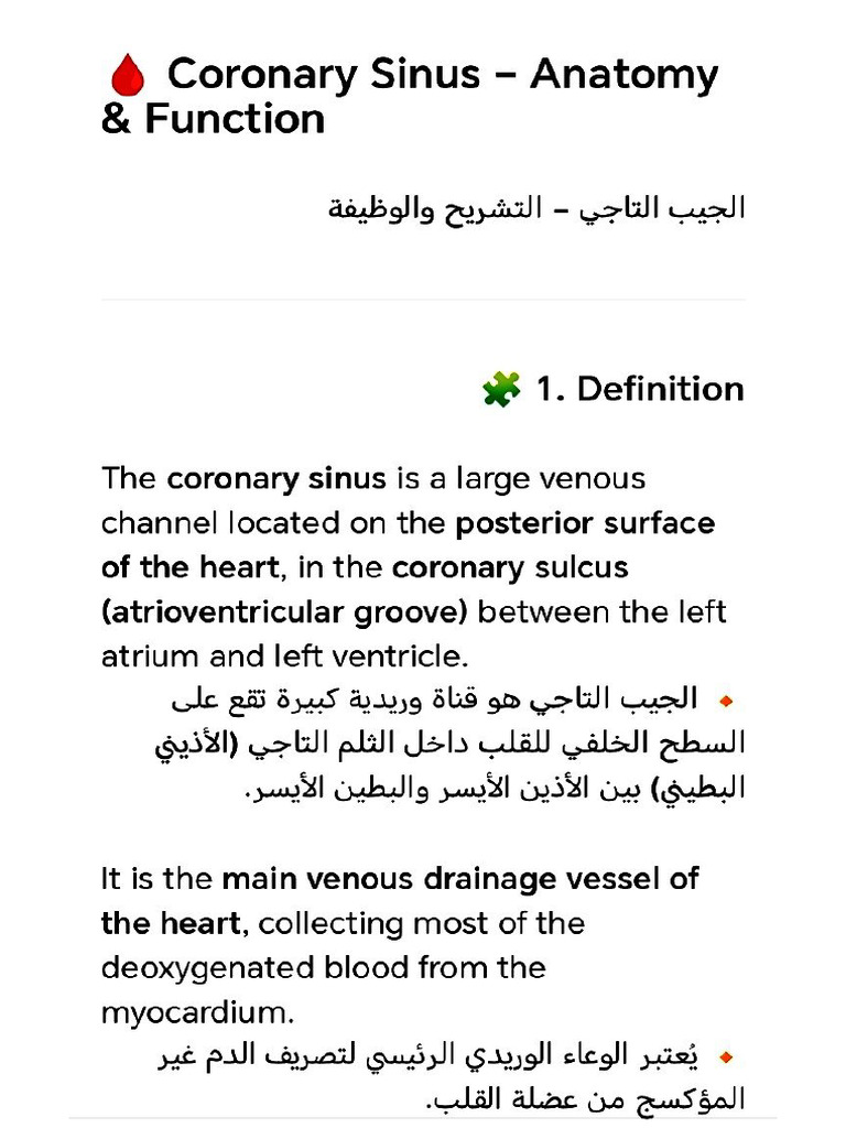Coronary Sinus | PDF