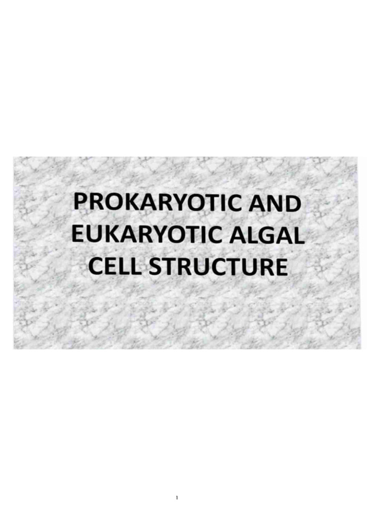Cell Structure of Algae | PDF