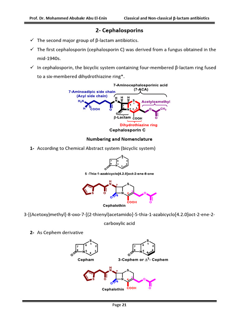 1 Classical and Non Classical Beta Lactam Antibiotics Handout Part ...