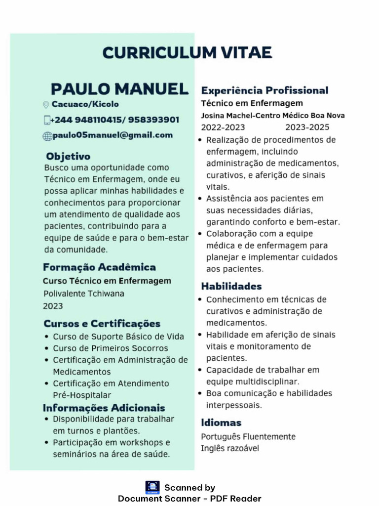CV Paulo | PDF