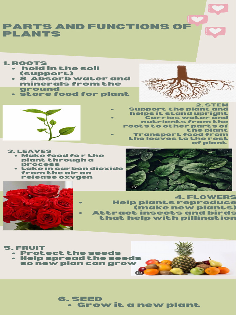 Reasons of Tardiness and Absences and Tips They Can Give To Avoid These ...