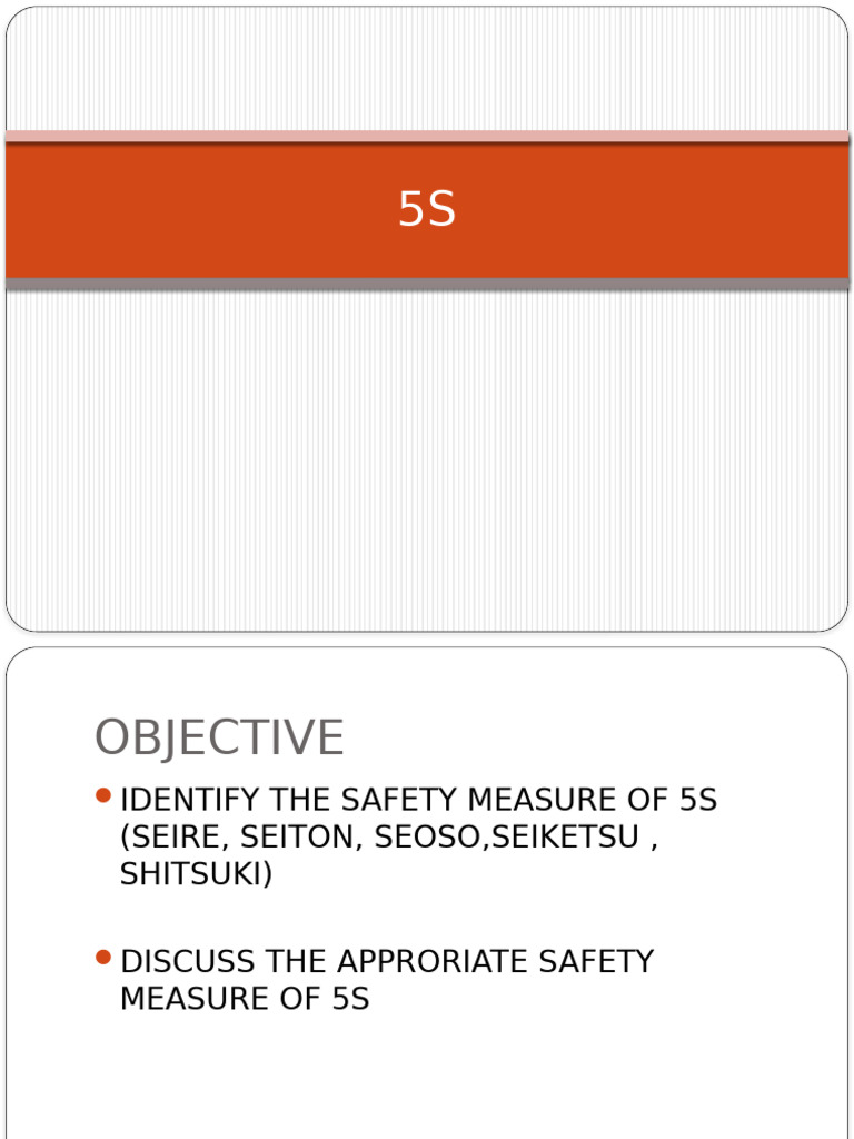 5S | PDF | Safety | Business