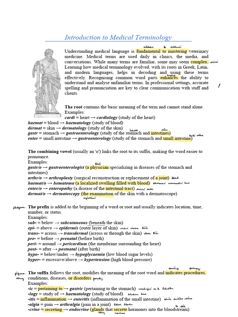 Introduction To Medical Terminology PDF | PDF | Diseases And Disorders ...