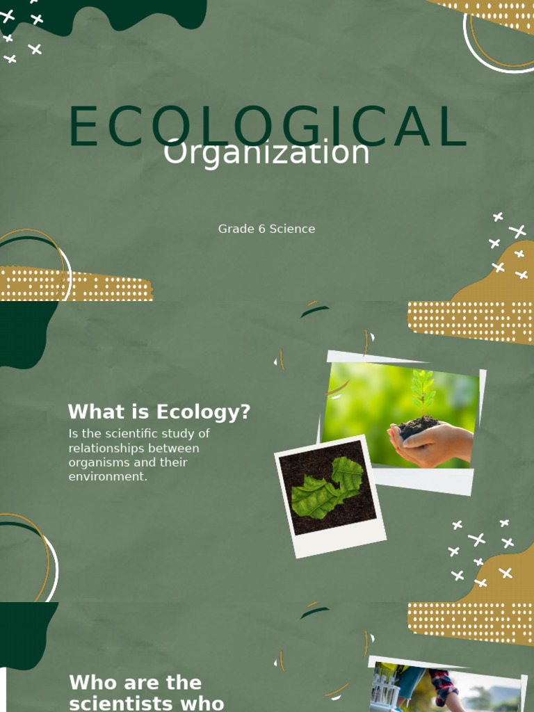 Understanding Ecological Organization | PDF | Ecology | Ecosystem