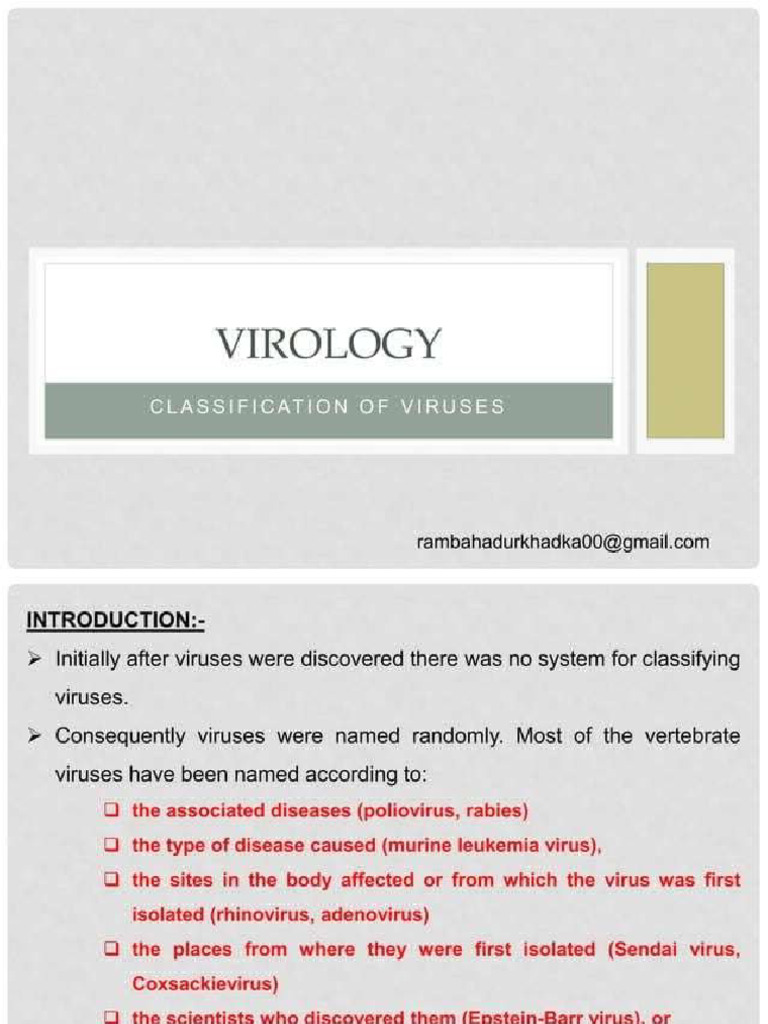 6 Virus Classification | PDF