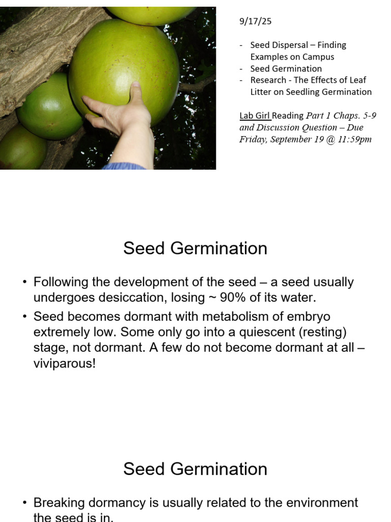 9 17 25 Seeds Germination | PDF | Seed | Seedling