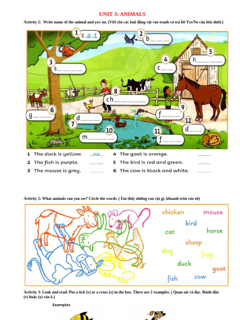 Unit 3 | PDF